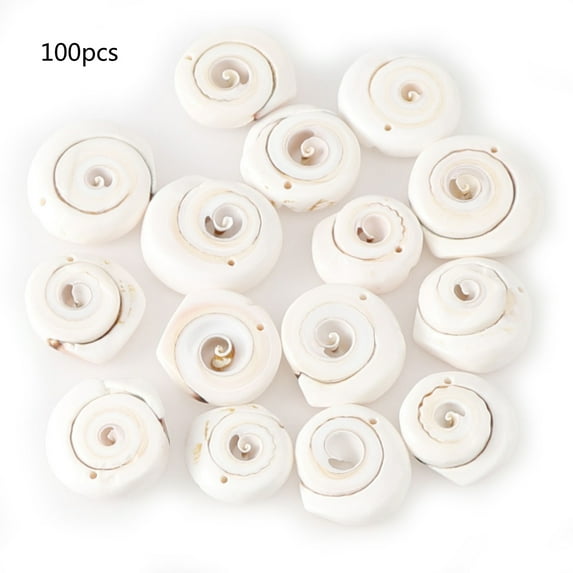 100 Pcs Natural Beads With Holes Mixed White Sea Shells Beads Large ...