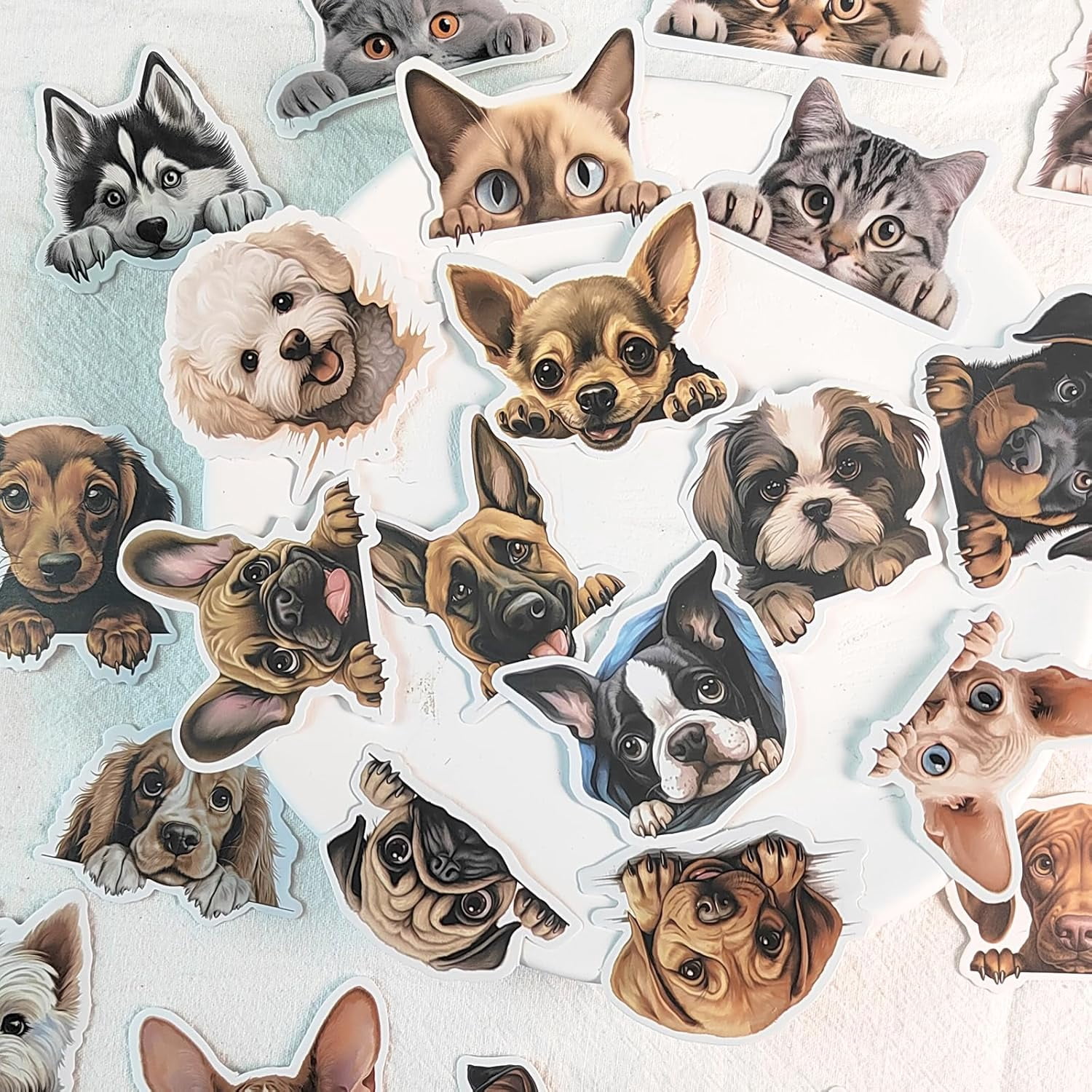 100 Pcs Peeking Cats & Dogs Stickers Cute Animal Vinyl Decals for ...