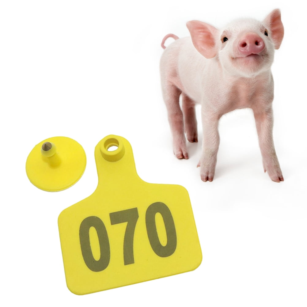 100 Pcs Pig Tags Livestock Tags Livestock Tagging Ear Tags for Cattle ...