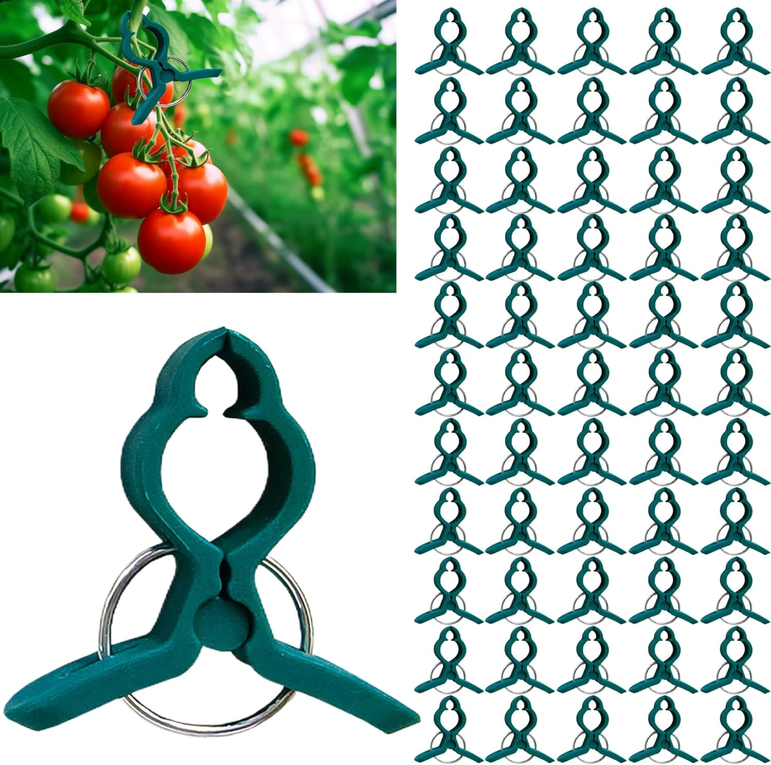 100 Pcs Plant Support Clips, Secured Plastic Plant Clips, Plant Clips ...