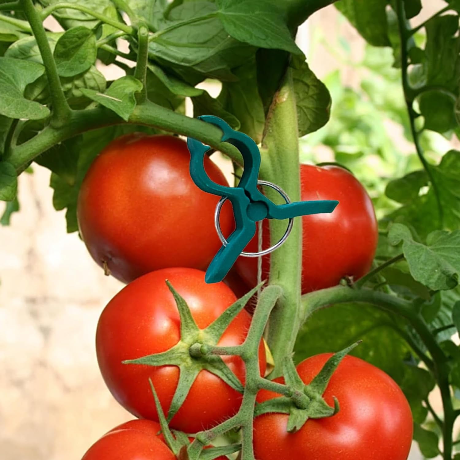 100 Pcs Plant Support Clips, Secured Plastic Plant Clips, Plant Clips ...