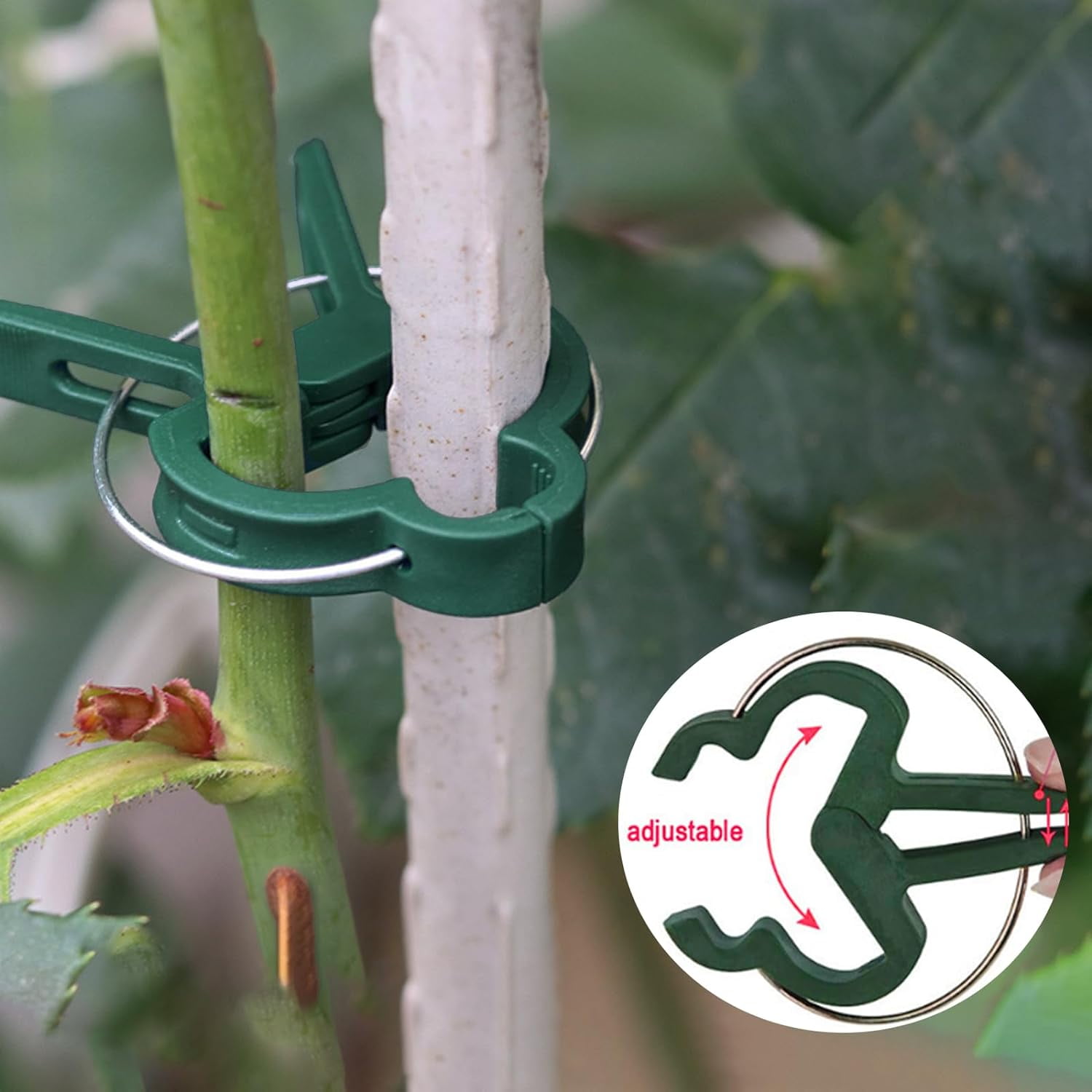 100 Pcs Plant Support Clips, Secured Plastic Plant Clips, Plant Clips ...