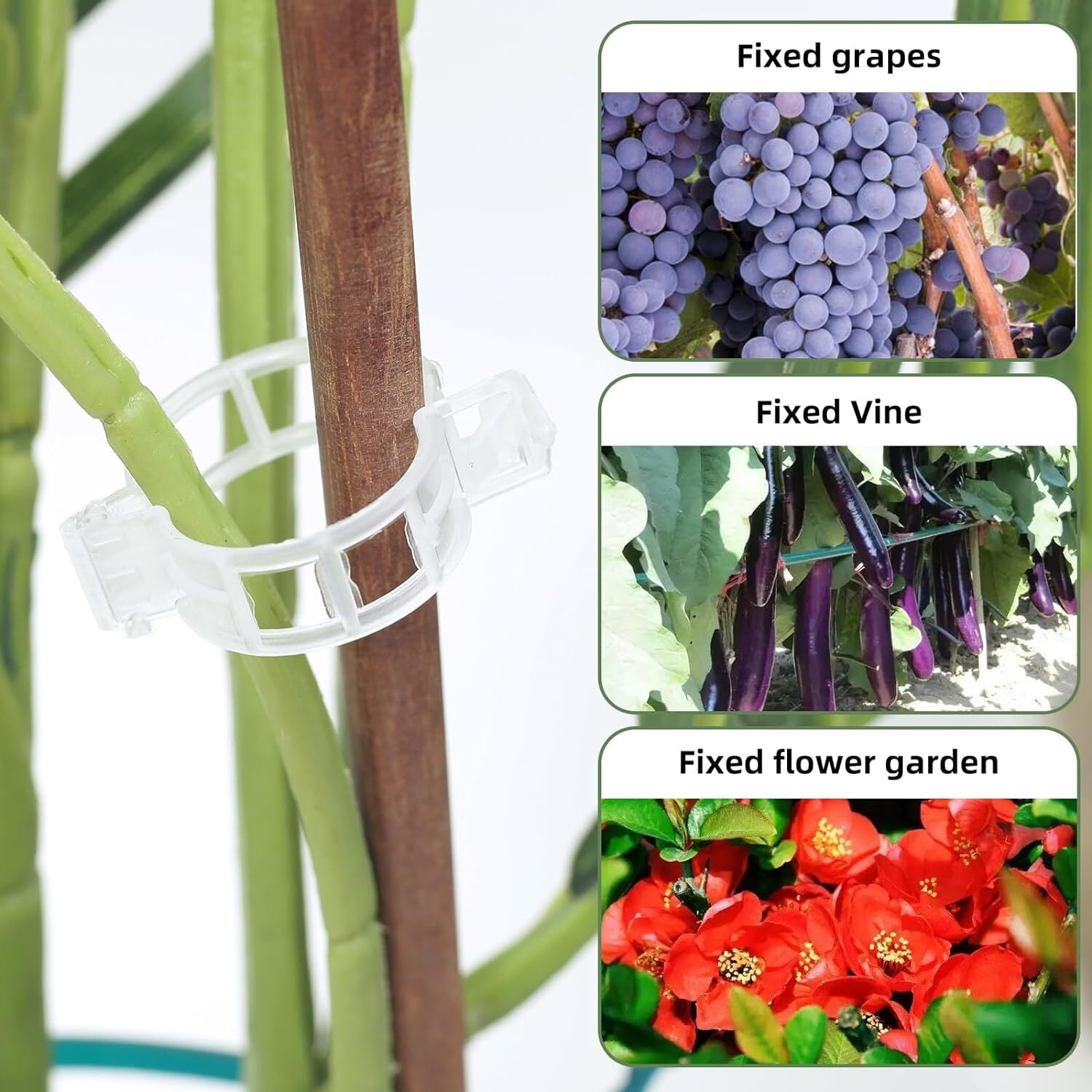 100 Pcs Plastic Trellis Plant Support Clips for Support, Grape and ...