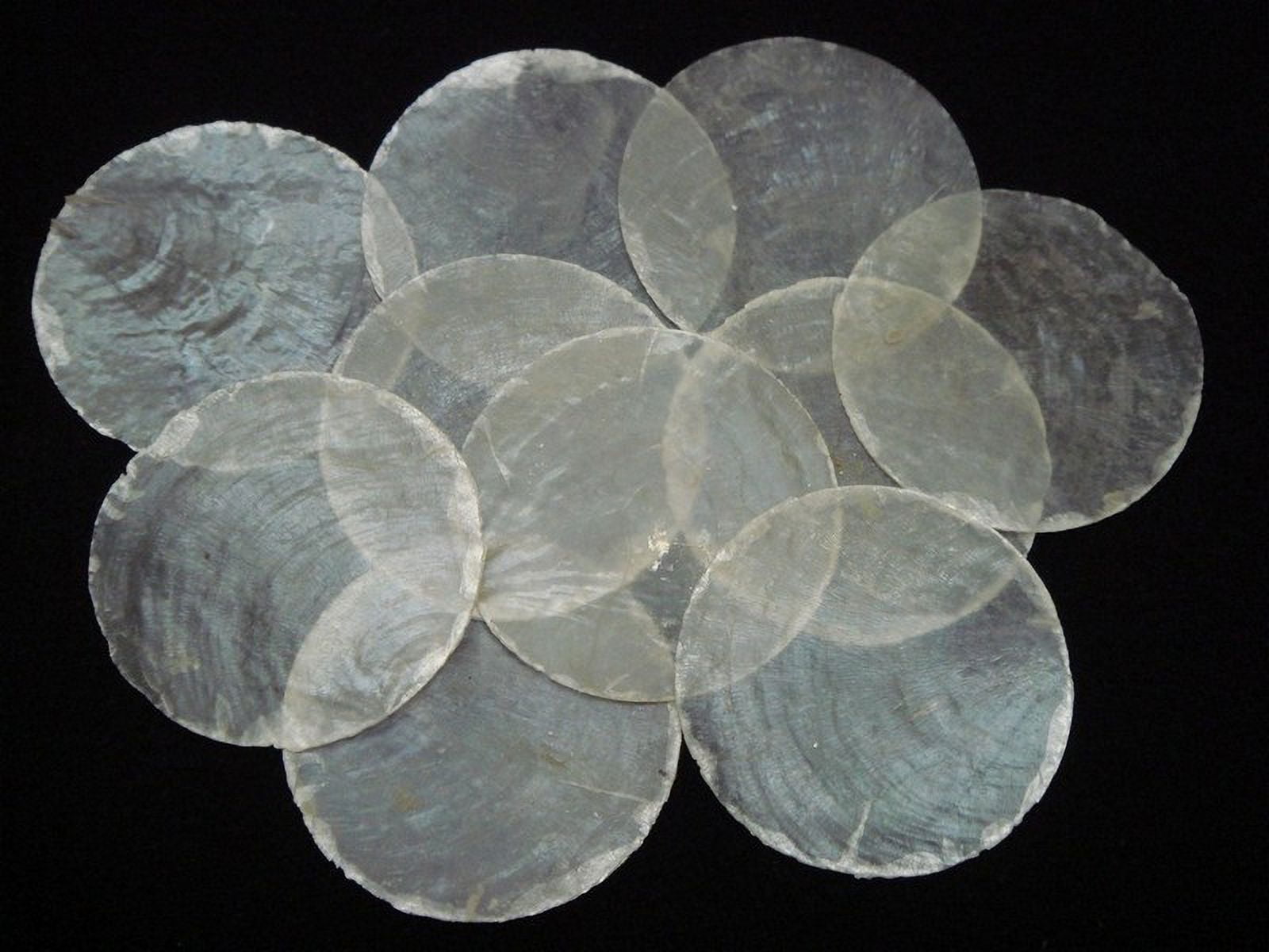100 Pcs Round Flat Capiz Sea Shell Blank Discs 1 1/2" - Walmart.com