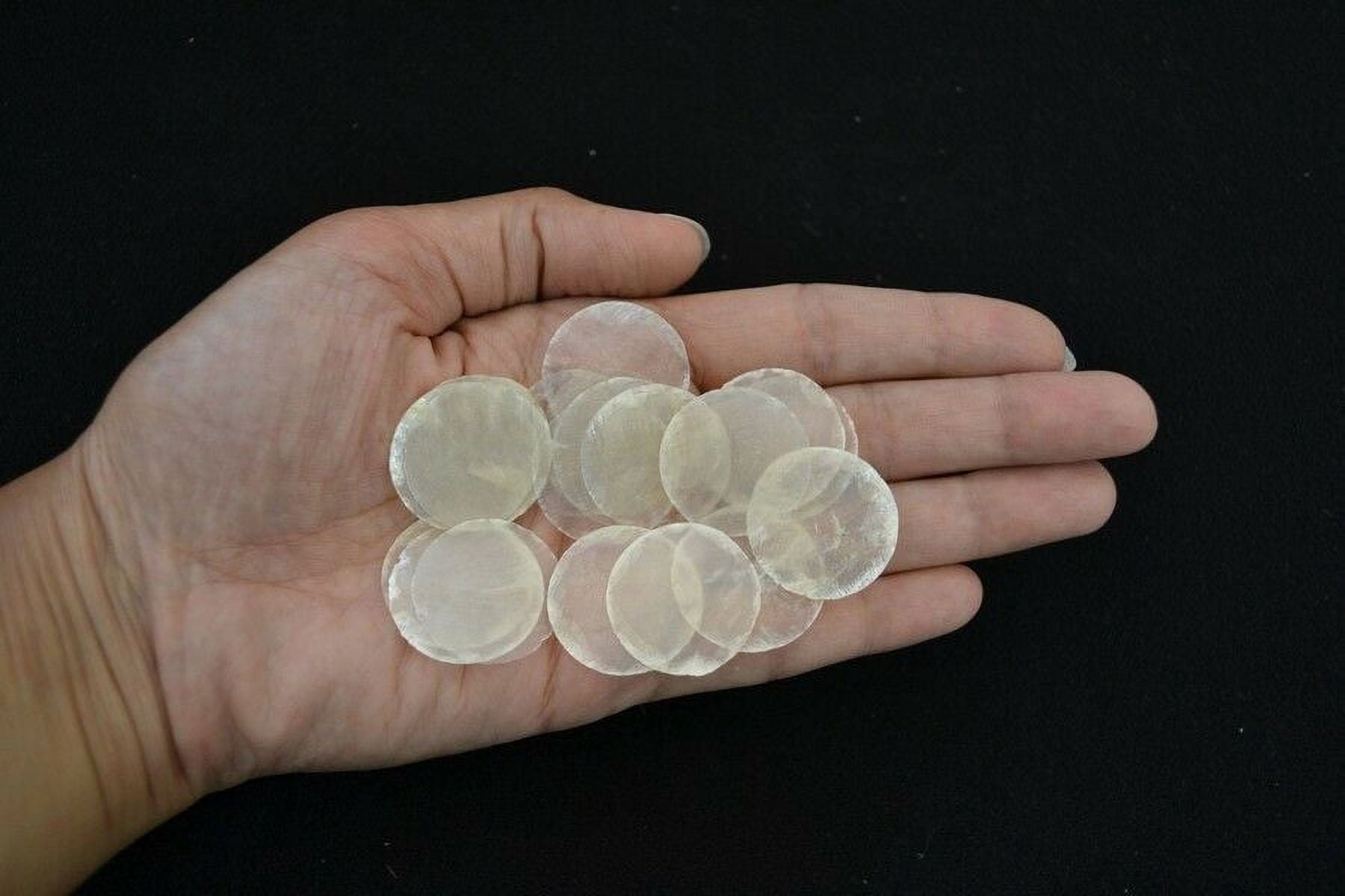 100 Pcs Round Flat Capiz Seashell Blank Disks 1