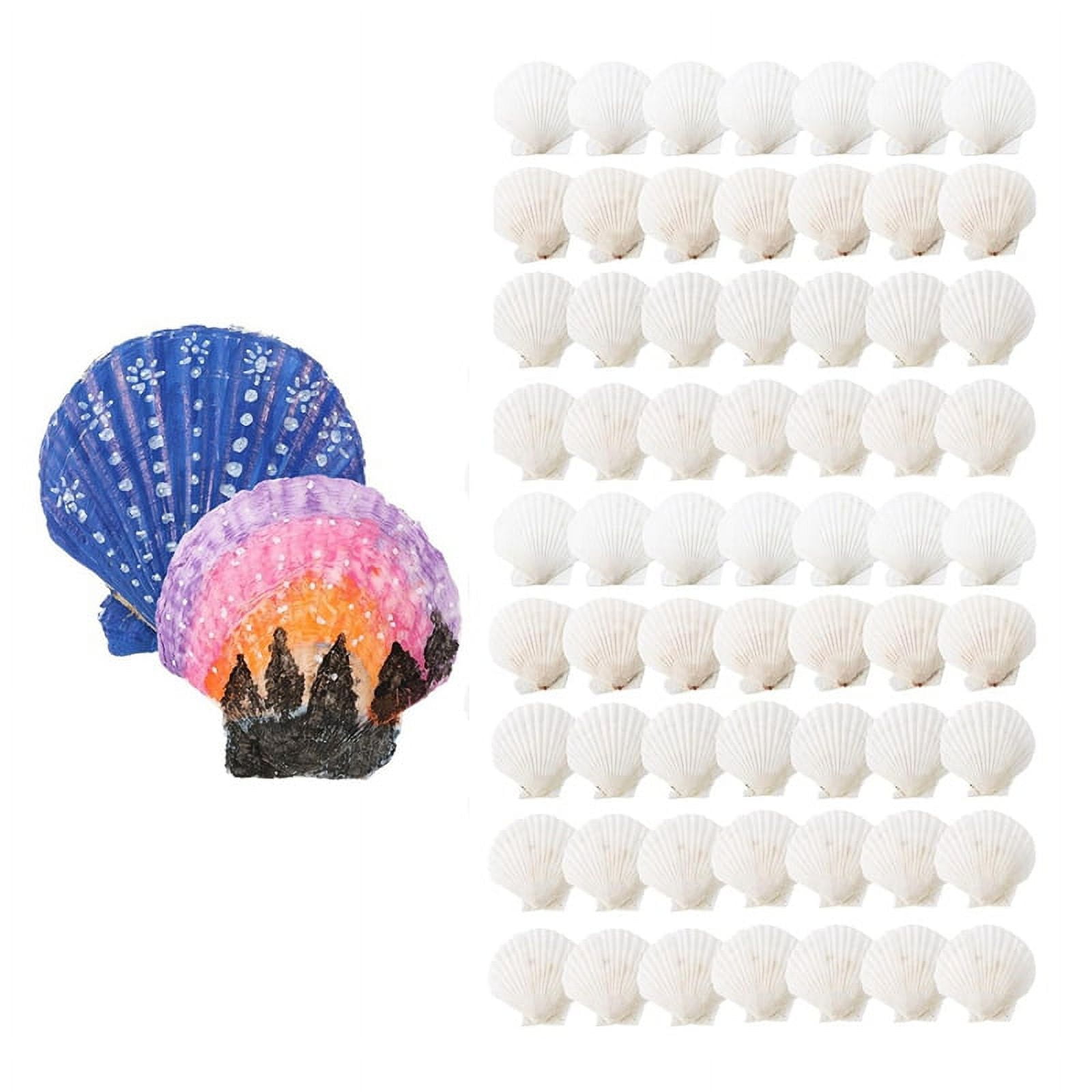 100 Pcs Sea Shell for Crafting Natural Large Scallop Shells White ...