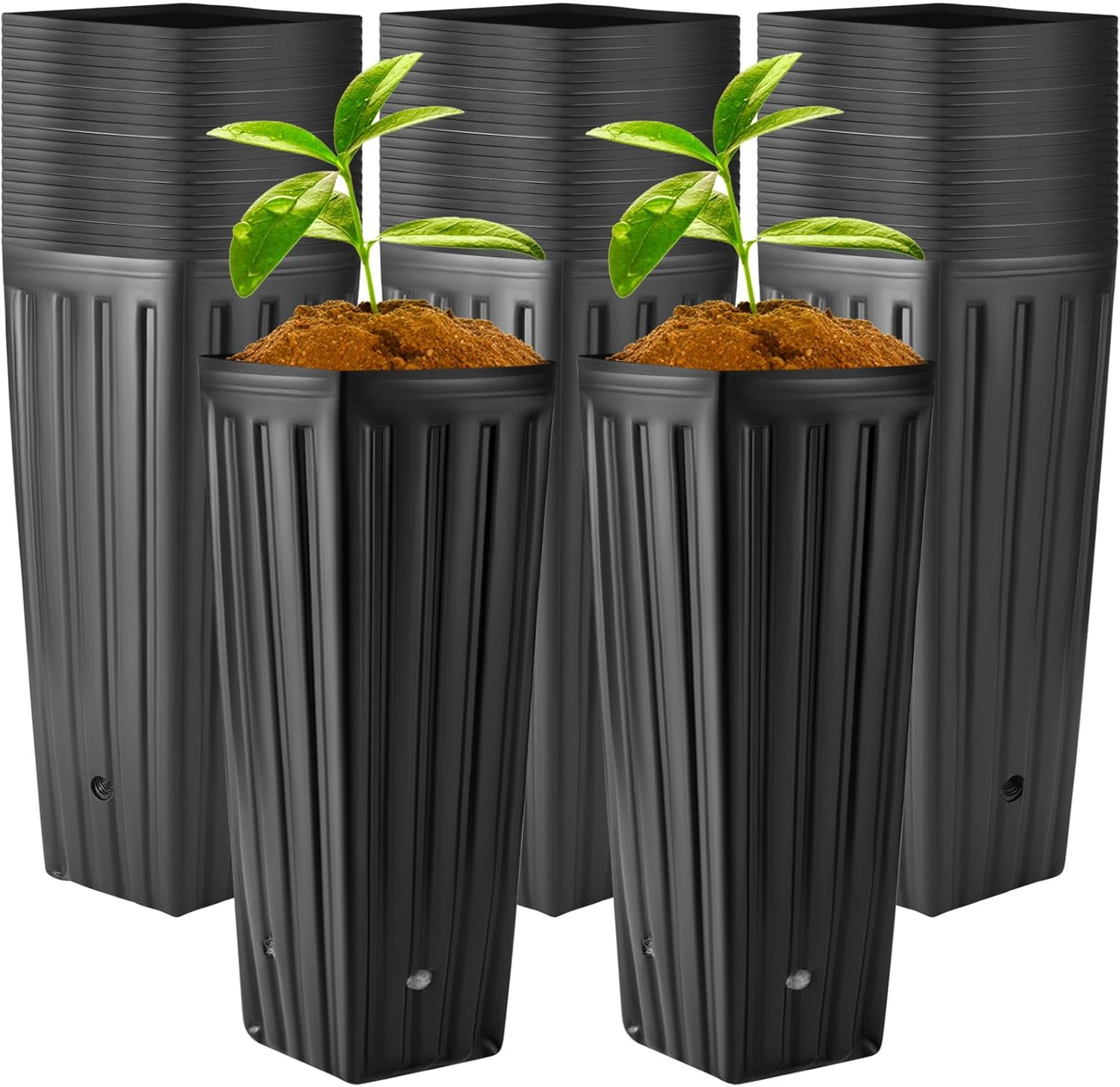 100 Pcs Tall Tree Pot Plastic Deep Plant Nursery Pots Black Seedling ...