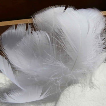 120pcs Colorful Goose Feathers for DIY Crafts, Jewelry Making, Wedding ...