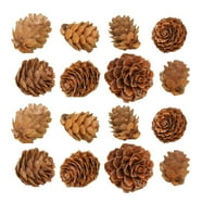 20Pcs Natural Decorative Fake Pine Cone - Attractive Pinecone ...