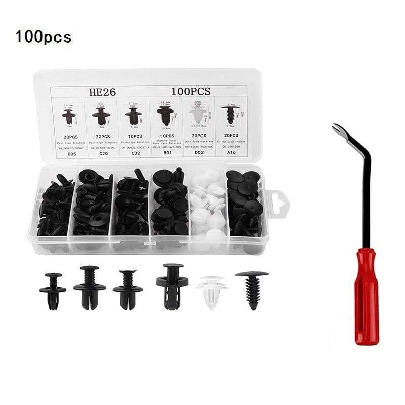 100-Piece Car Push Pin Rivet Kit - 6-Size Bumper Clip Fastener Set with ...