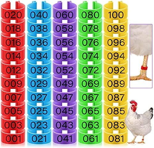 100 Pieces 16 mm Chicken Leg Rings with 5 Colors Numbered Chicken Leg ...