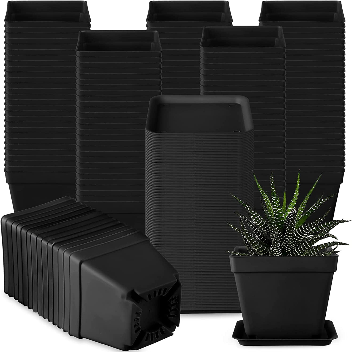 100 Pieces 4 Inch Flower Pots Square Plants Nursery Pot Plastic Plant ...