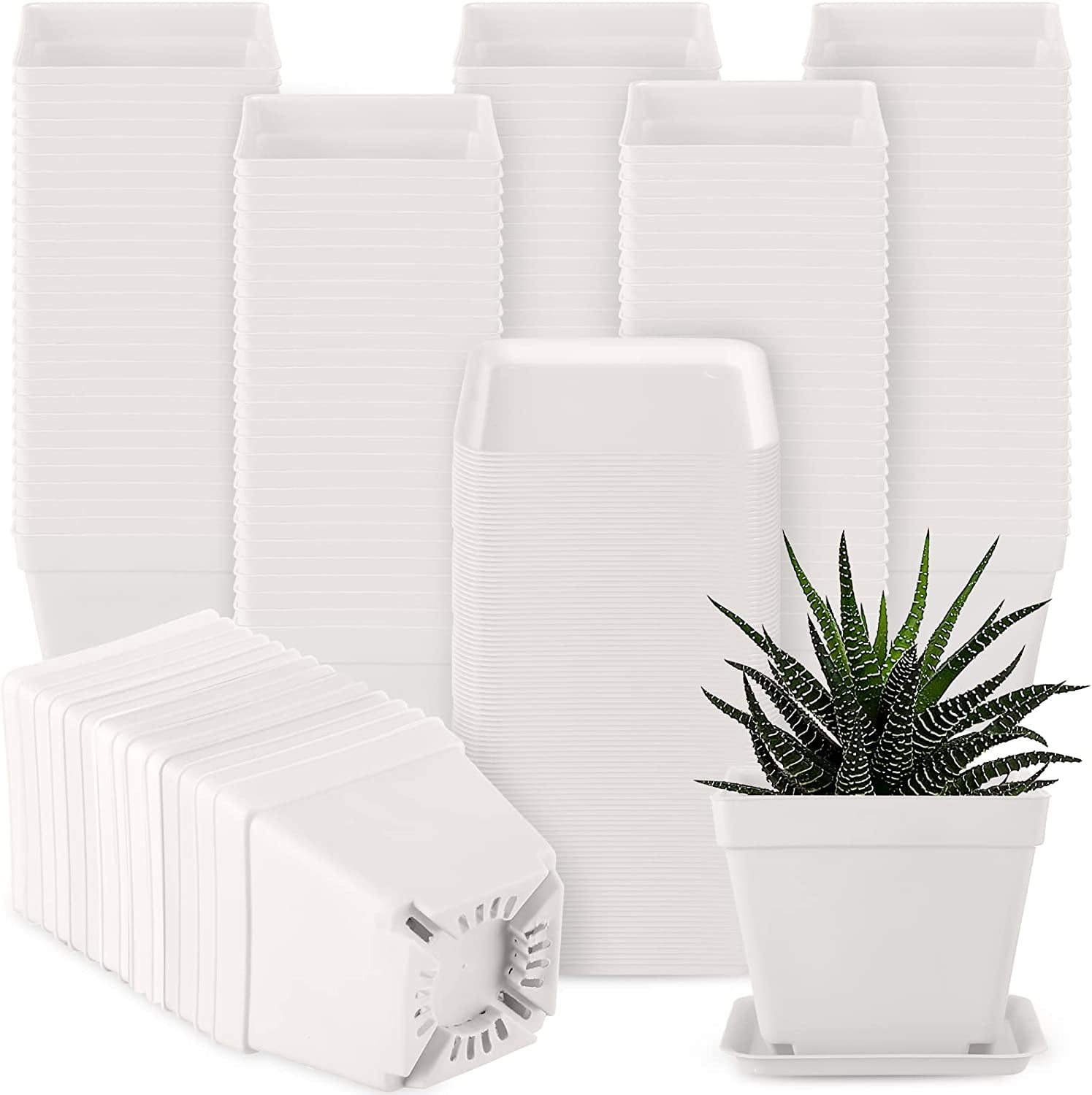 100 Pieces 4 Inch Flower Pots Square Plants Nursery Pot Plastic Plant ...