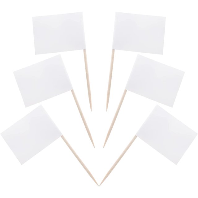 100 Pieces Blank Toothpick Flags Cheese Markers Food Labels for Party ...