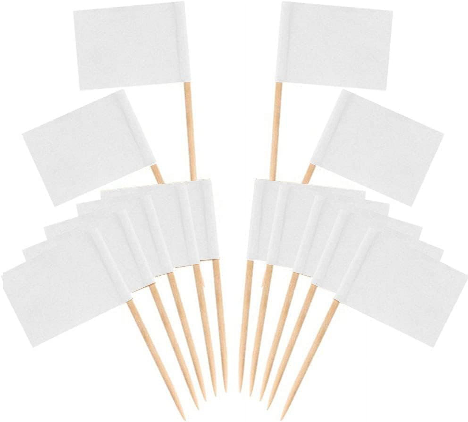 100 Pieces Blank Toothpick Flags Mini Food Labels With Wooden Sticks ...