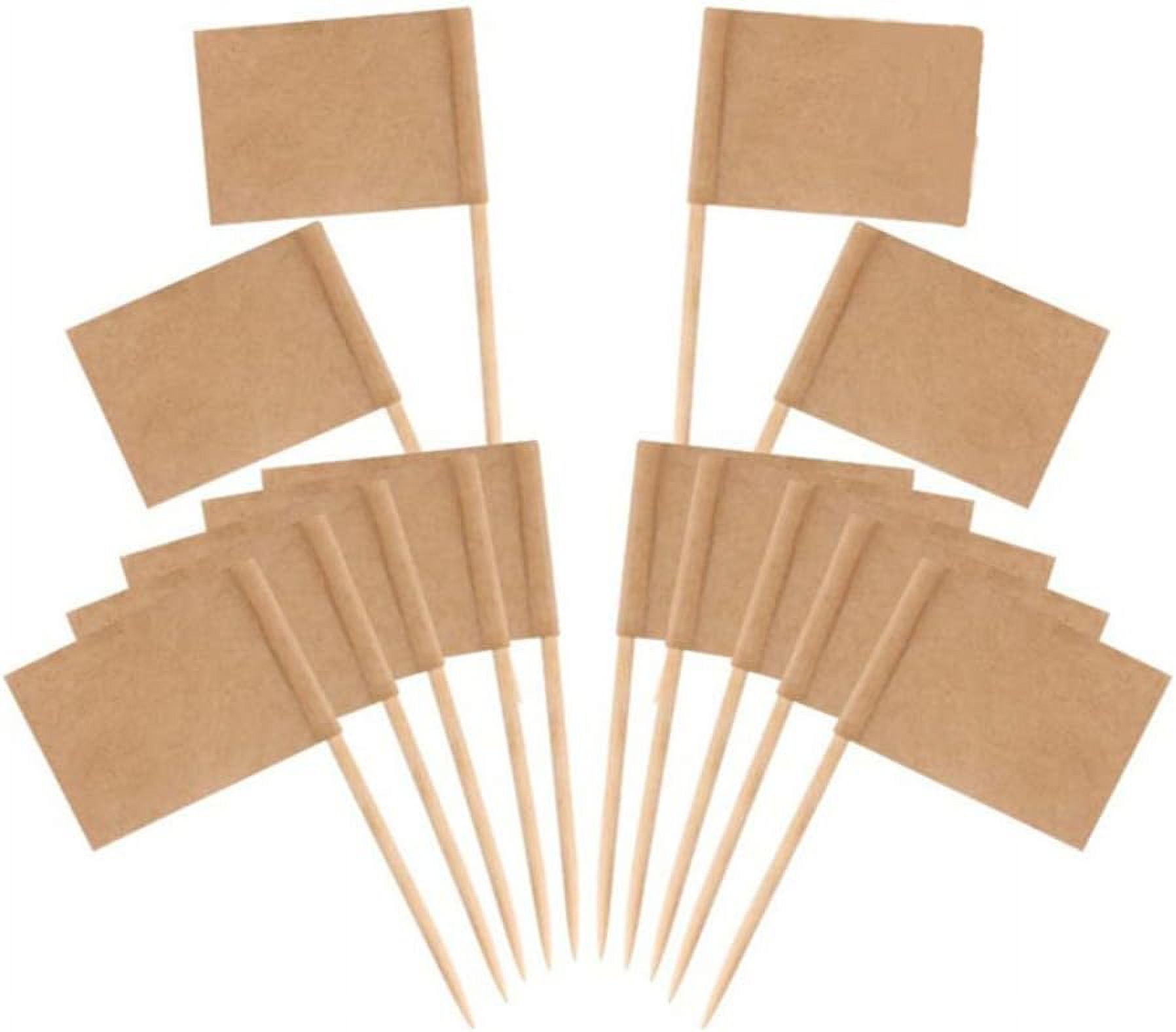 100 Pieces Blank Toothpicks Flag Cheese Markers Food Labels for Party ...