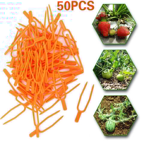 100 Pieces Gardening Plant Fixing Clips Plastic Fixing Clips Vines ...