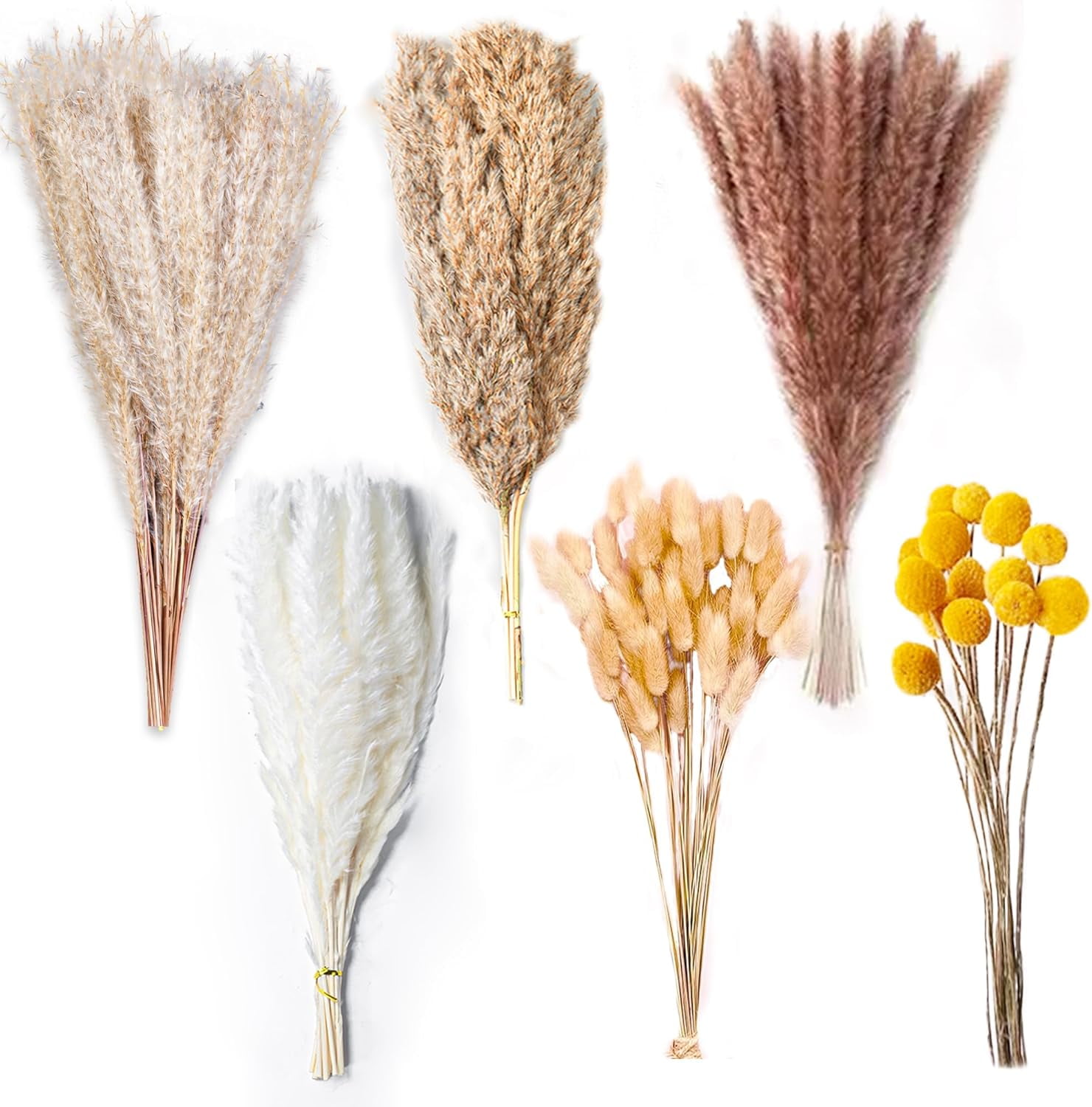 100 Pieces Natural Dried Pampas Grass Decorations - 17.5 Inch Fluffy ...