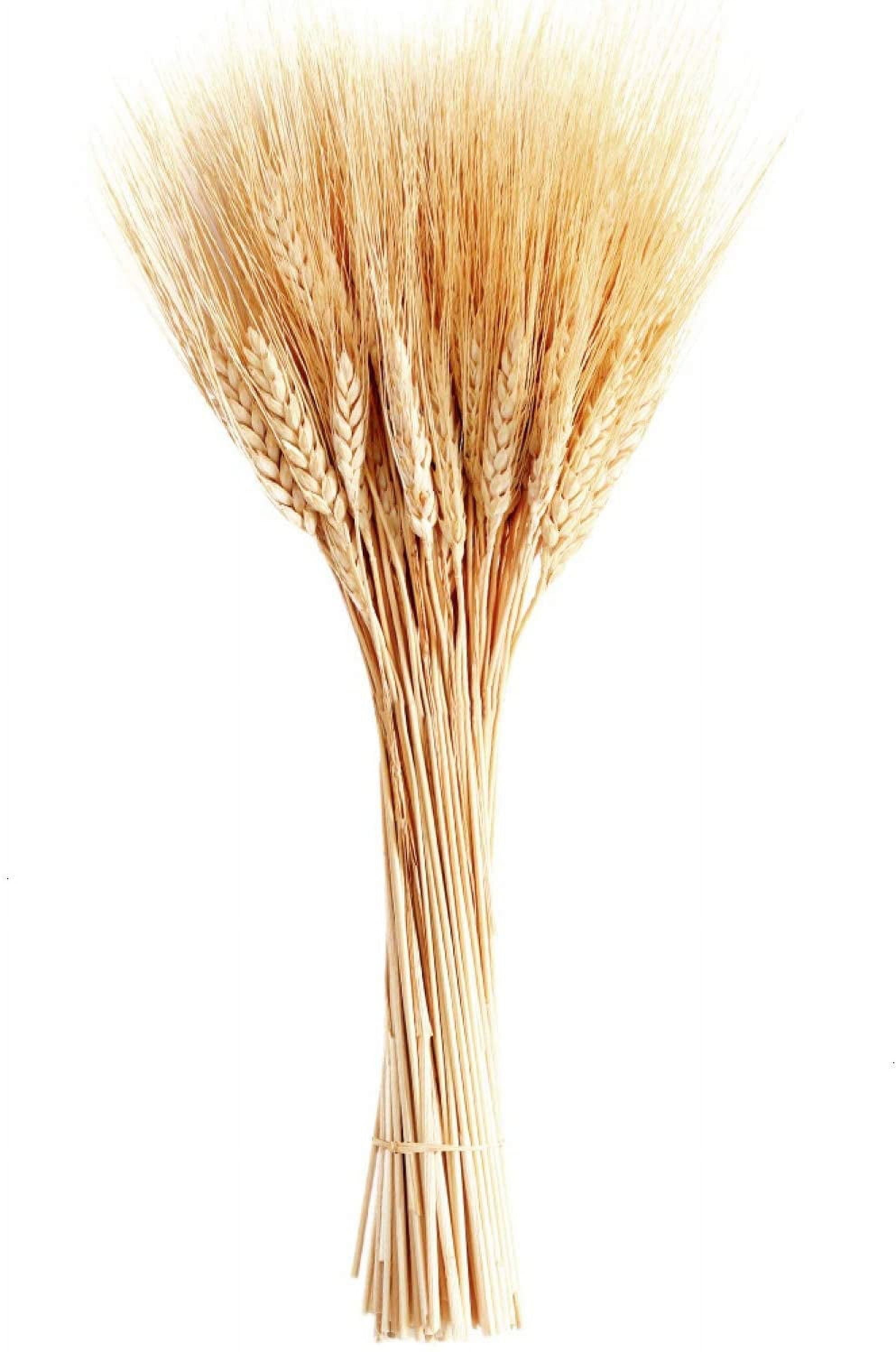 Wheat Flower Arrangements
