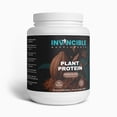 Invincible Supplements Plant Protein Powder, Chocolate – 21g Protein ...