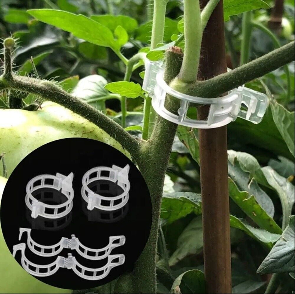 100 Plastic Trellis Clips for Tomato, Grape Vines - Vegetable Plant ...