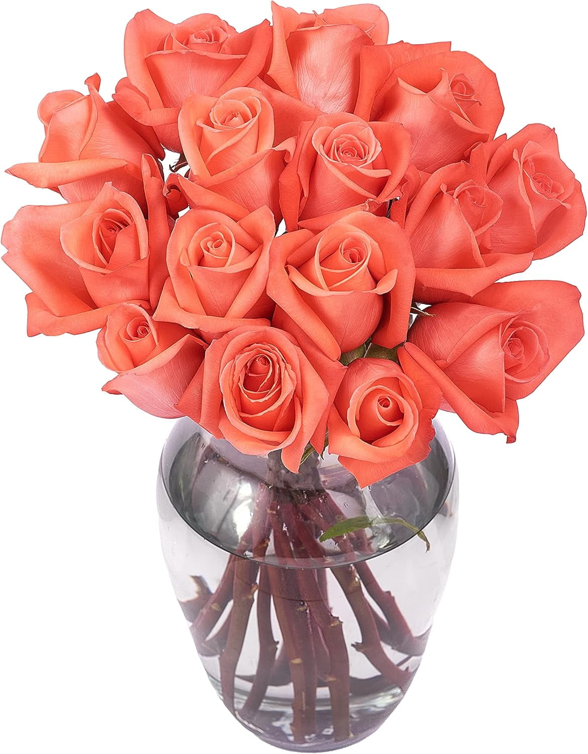 100 Premium Long-Stem Cut Roses | Cut to Order and Air-mailed Directly ... 100 Premium Long-Stem Cut Roses | Cut to Order and Air-mailed Directly ...
