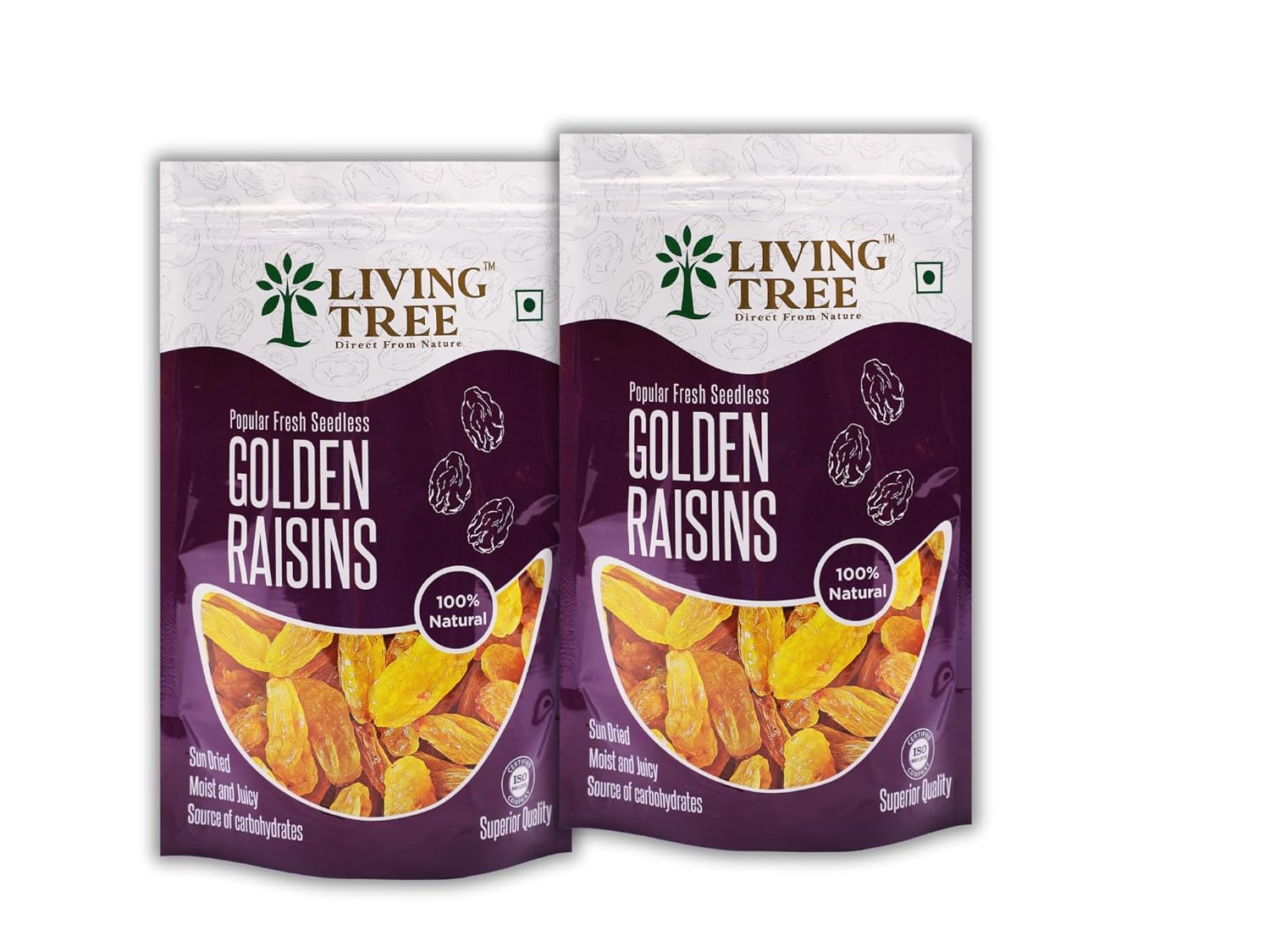 100% Pure Popular Fresh Seedless Golden Raisins By Living Tree 1kg ...