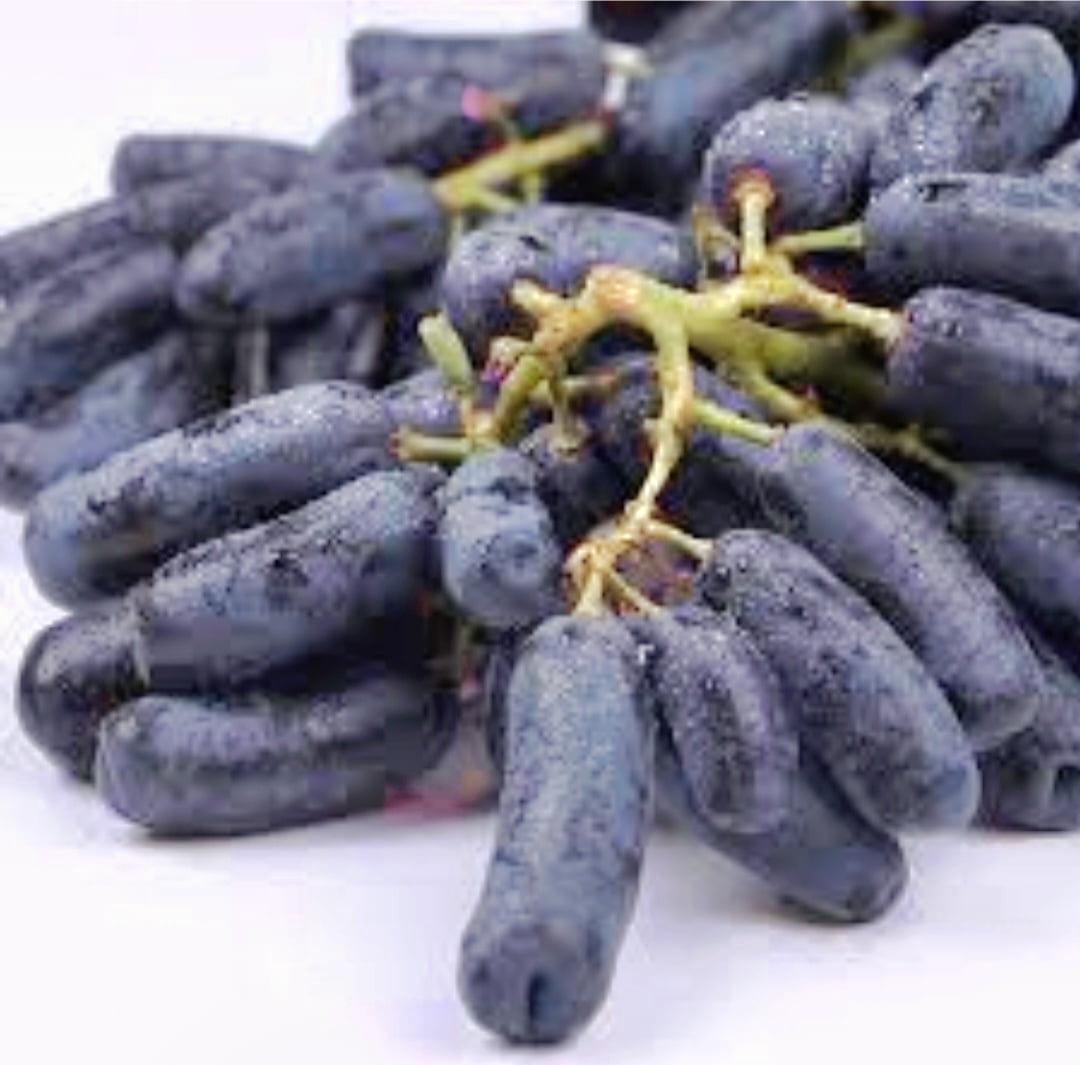 100 Purple Finger Grapes Seed Sweet Grape Fruit Popular Variety Grape ...