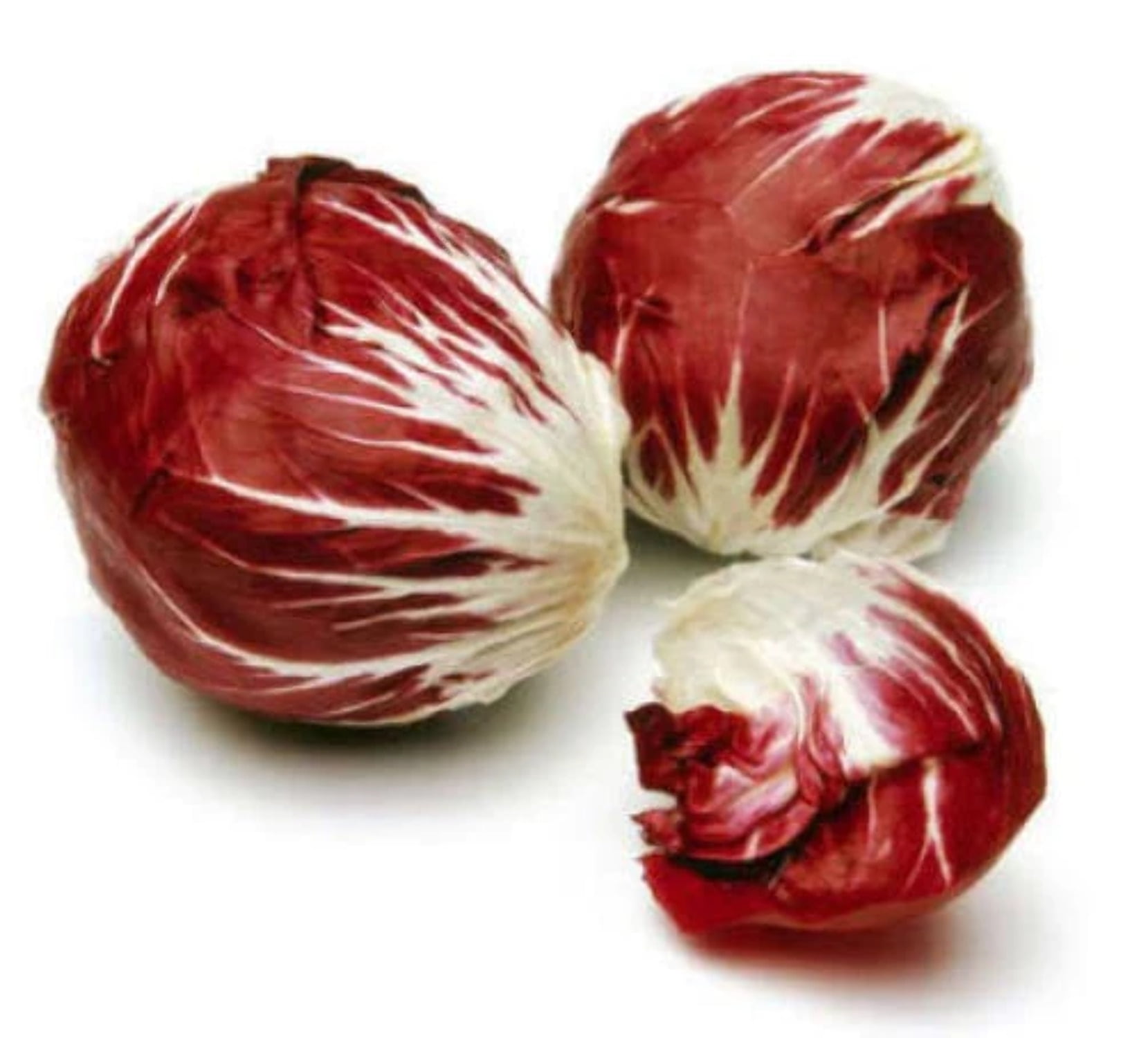 100 RADICCHIO DI TREVISO Radicchio Rose Vegetable Seeds - Walmart.com
