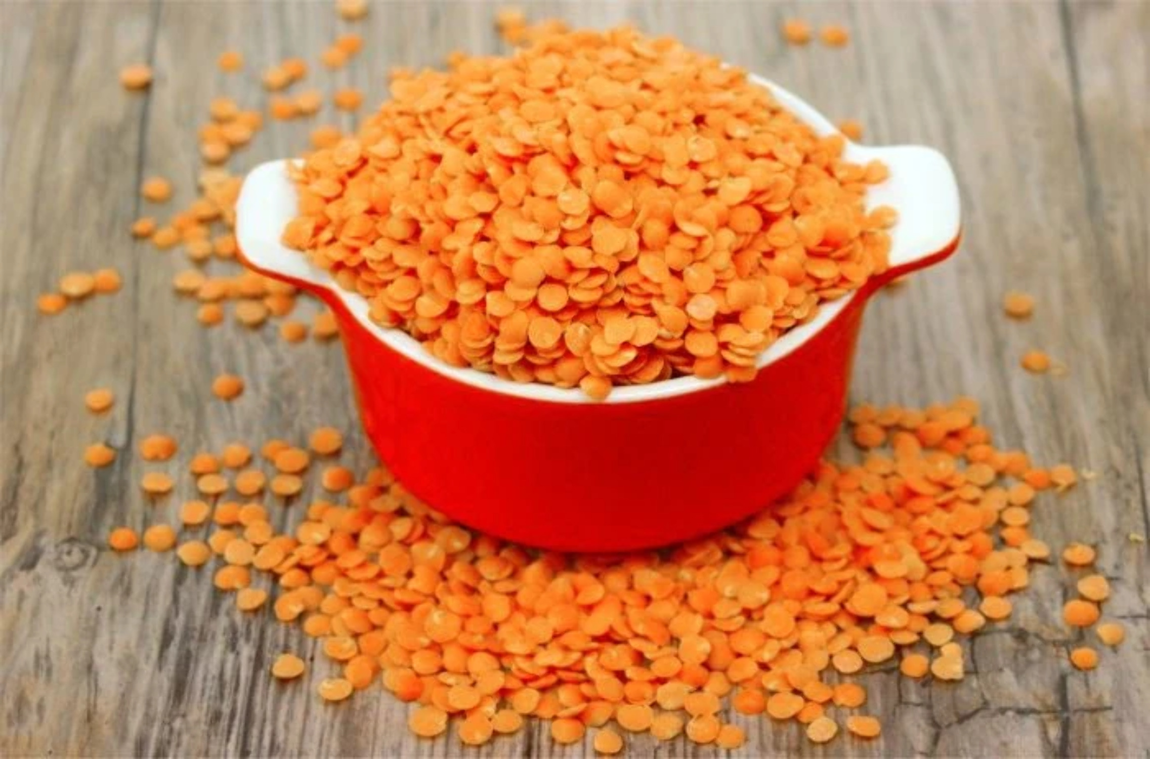 100 RED LENTIL Lens Culinaris Vegetable Seeds - Walmart.com