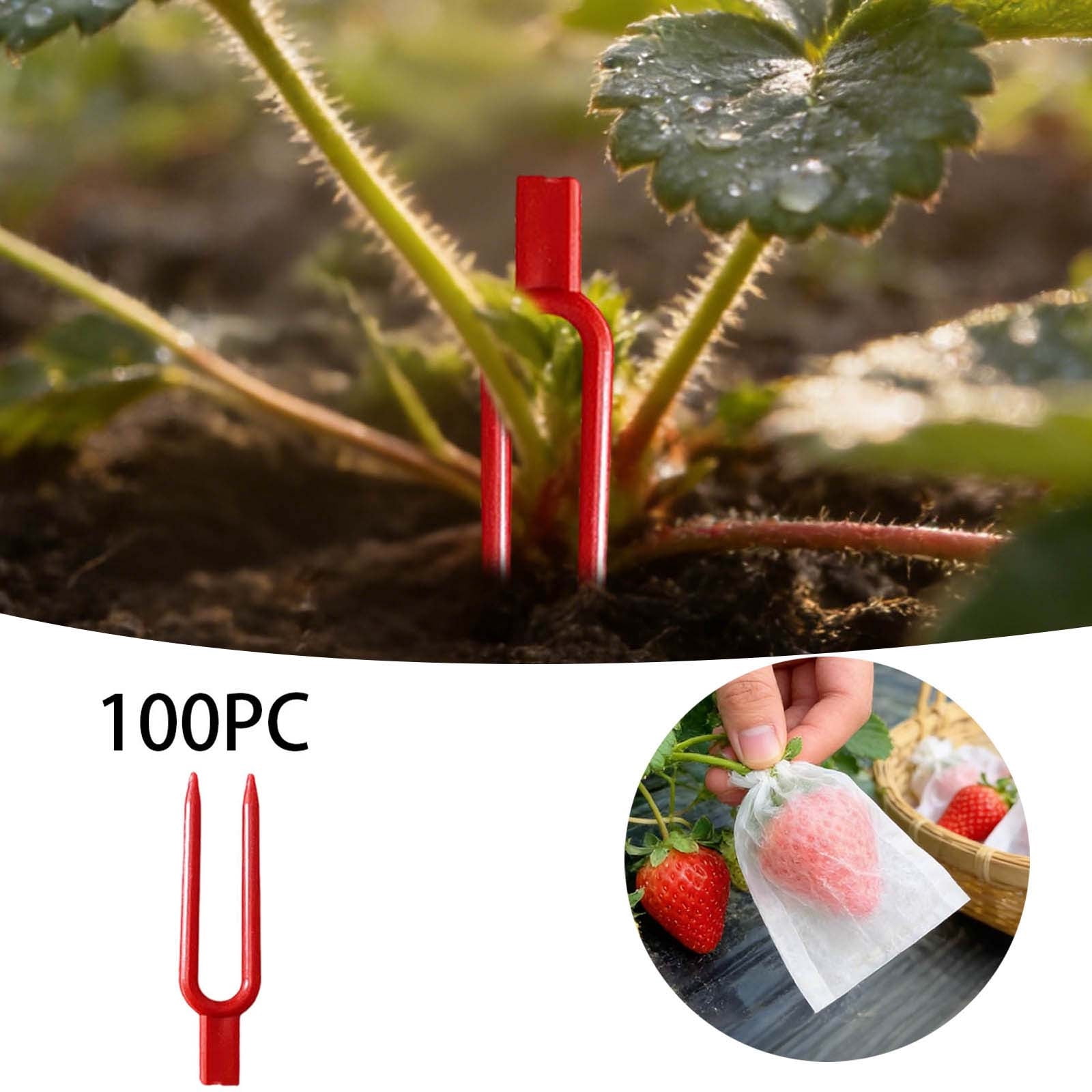 100 Reusable Clips for Gardening Grape Vine Fixing forks and Support ...