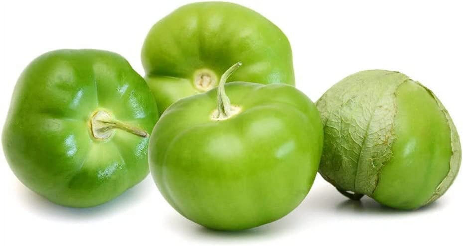 100+ Rio Grande Verde Tomatillo Seeds| Exotic Garden Fruit Seeds for ...