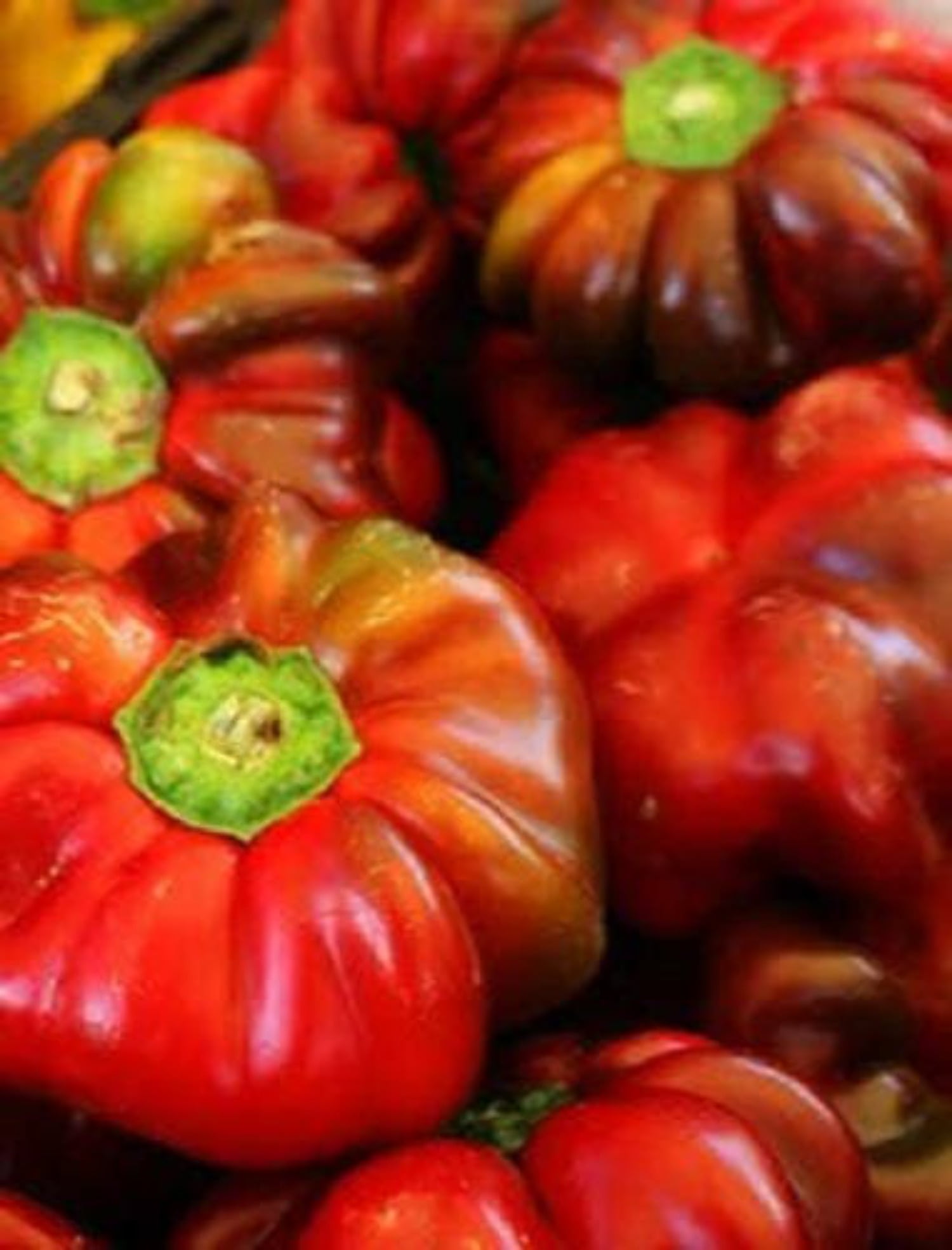 100 Seeds PIMENTO PEPPER (Red Sweet Pimientio / Italianelle / Cheese ...