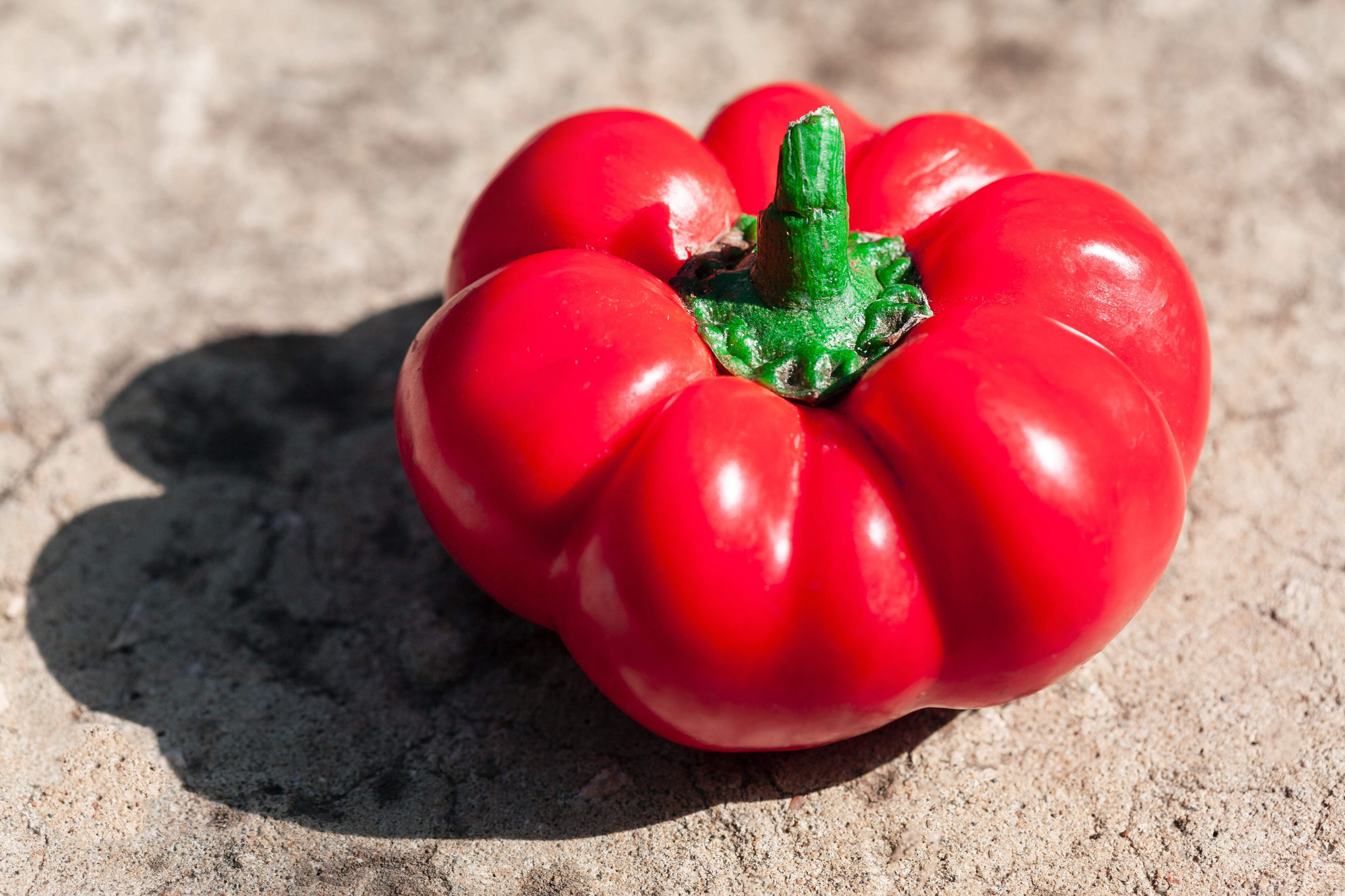 100 Seeds PIMENTO PEPPER (Red Sweet Pimientio / Italianelle / Cheese ...