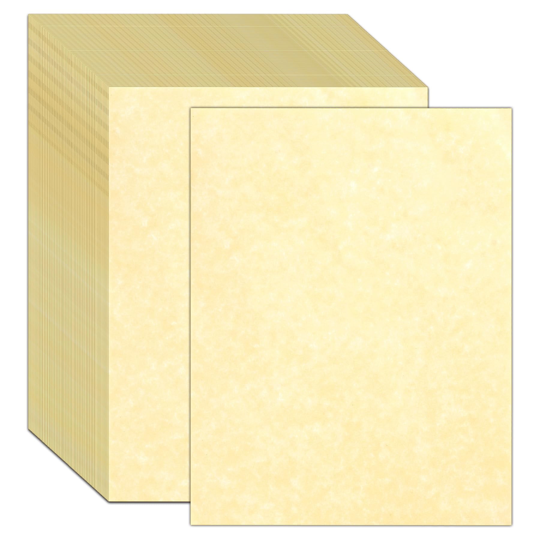 100 Sheets Old Age TSF6 Parchment Paper, 8.5 x 11 Inch Vintage Printing ...