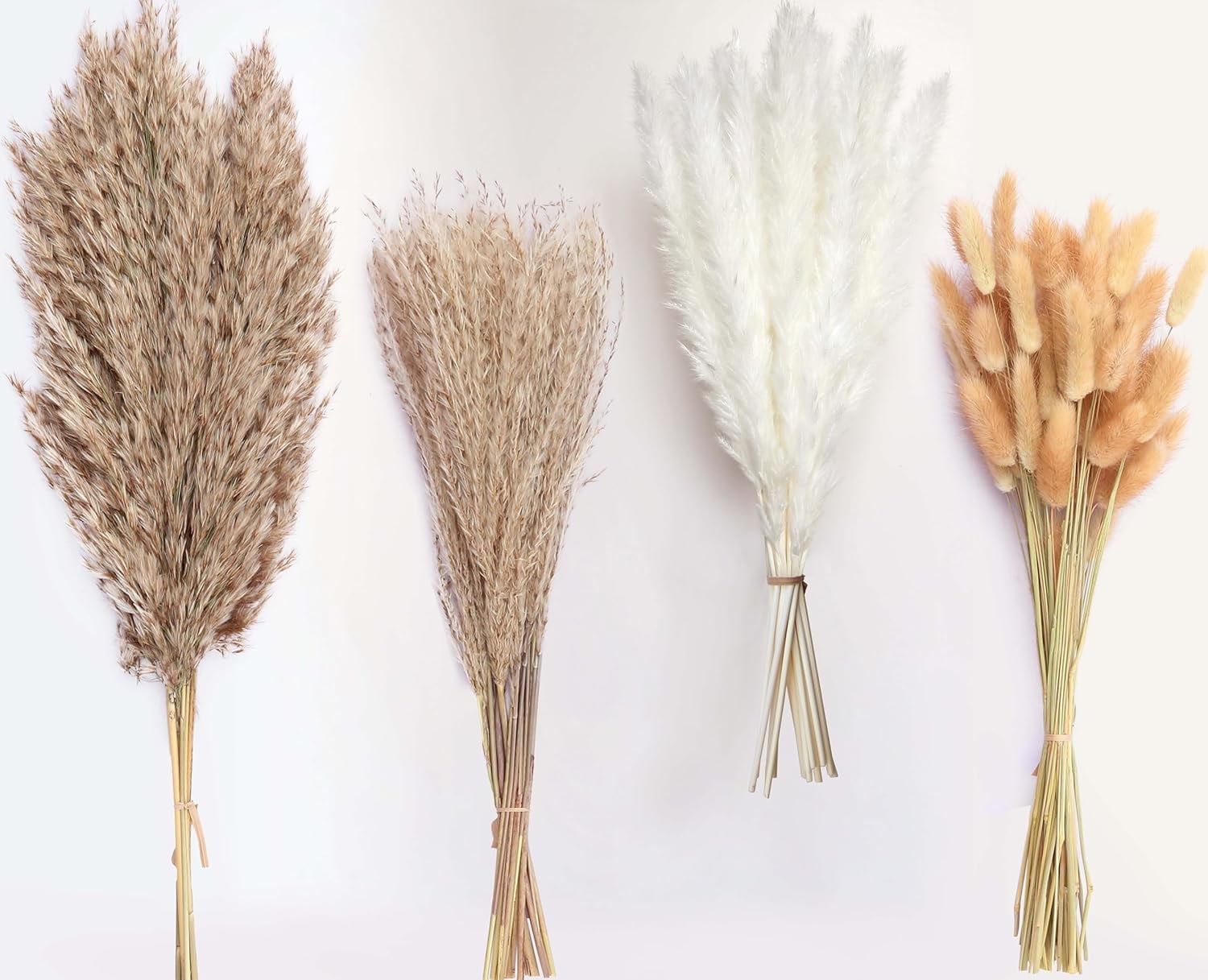 100 Stems Dried Pampas Grass, Boho Table Decor Natural Reed Phragmites ...