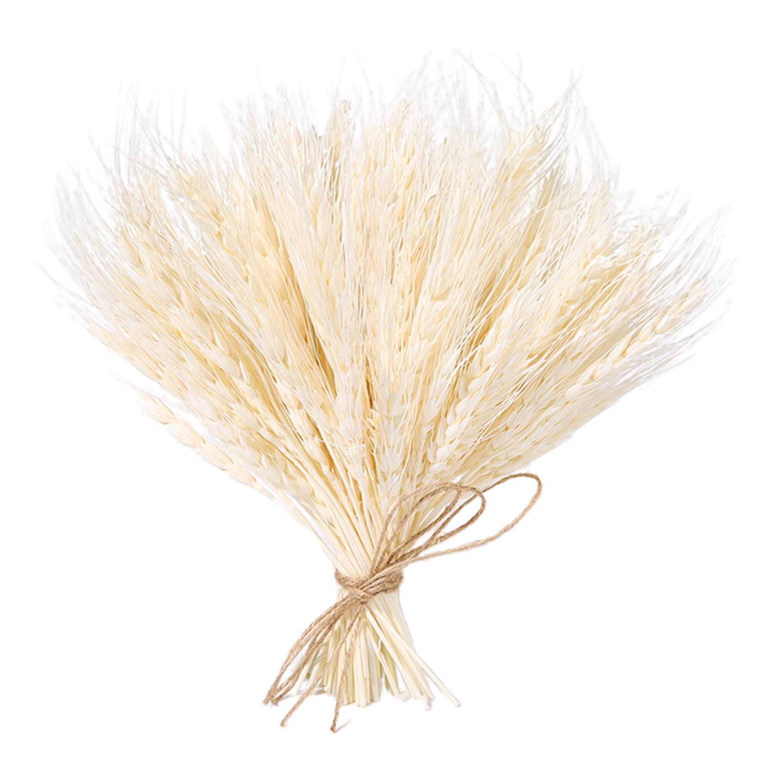 100 Stems Dried Wheat Stalks, Natural Dried Wheat Sheaves Fall Flower ...