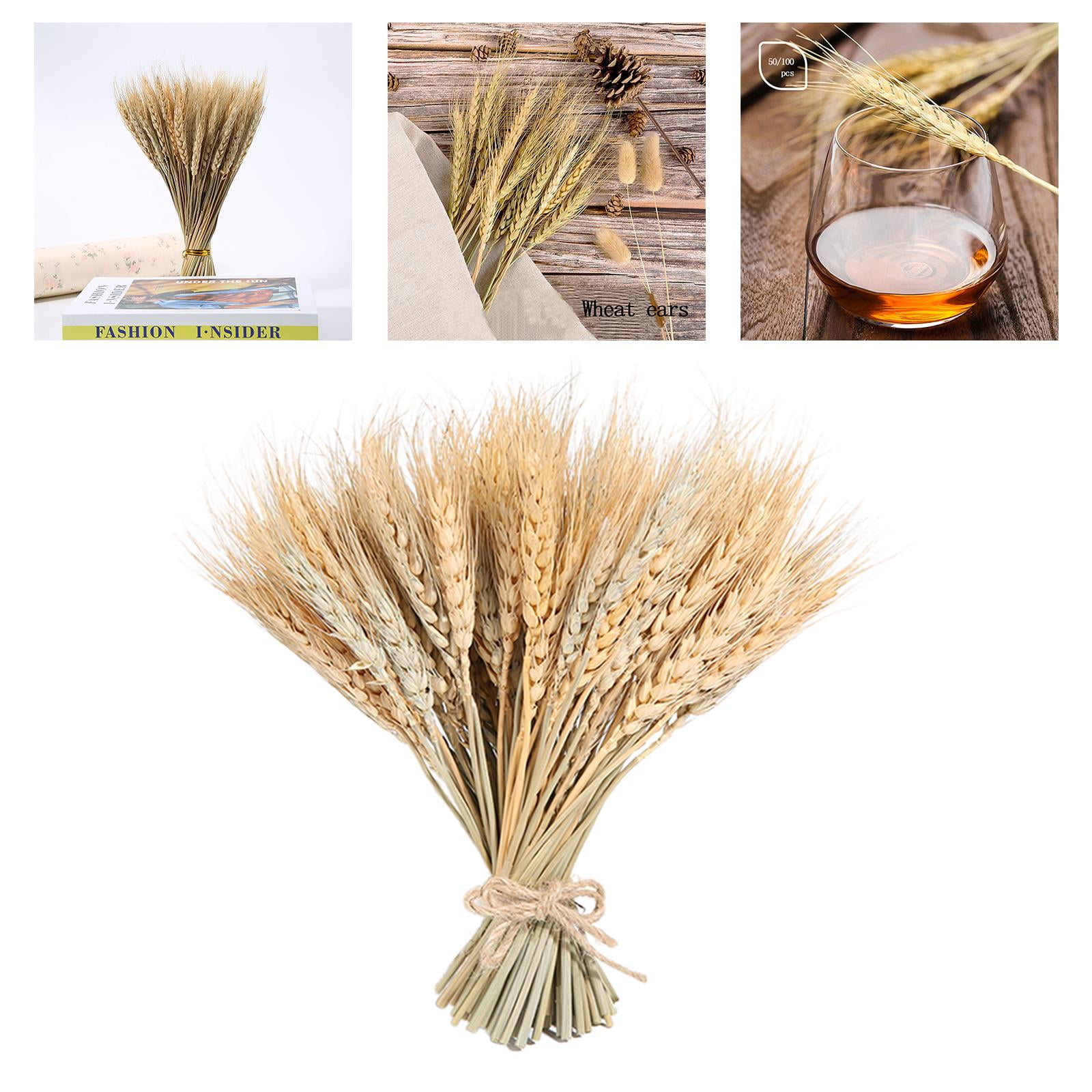 Wheat Stalks Bundle
