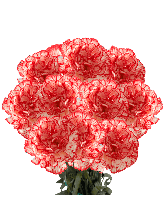 All Flowers in Flower Shop - Walmart.com