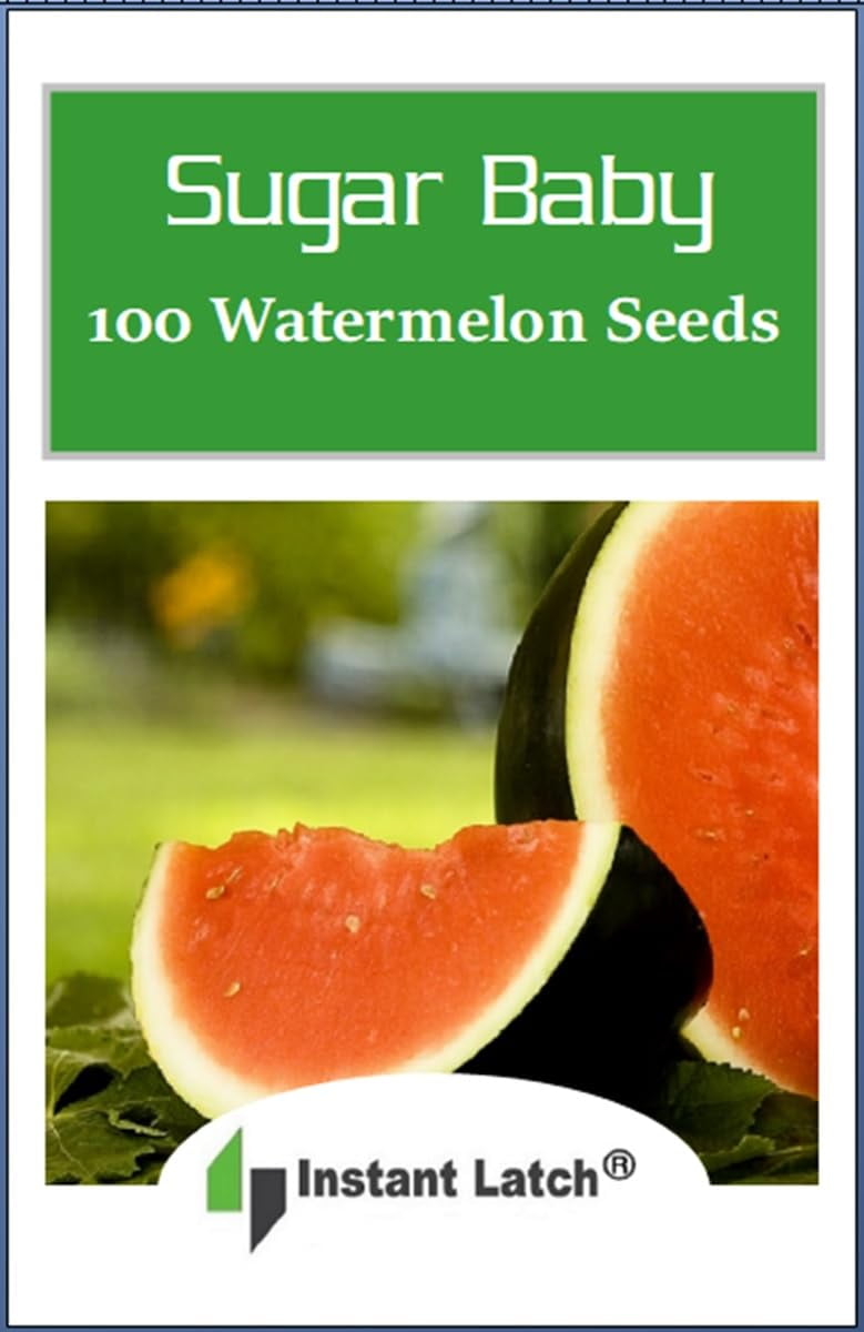 100 Sugar Baby Watermelon Seeds for Planting H2FSDNon-GMO Watermelon ...