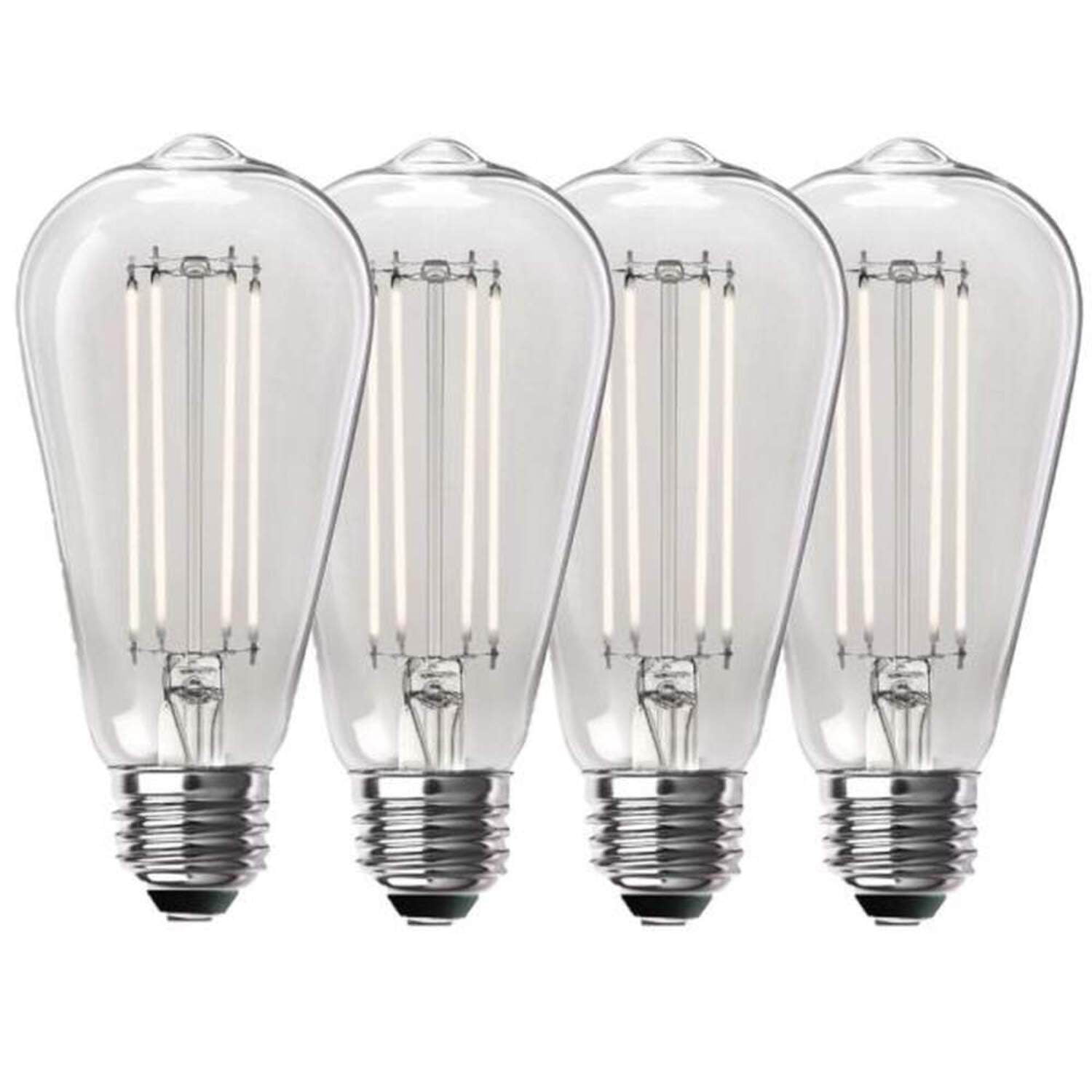 100-Watt Equivalent ST19 Dimmable Straight Filament Clear Glass E26 ...