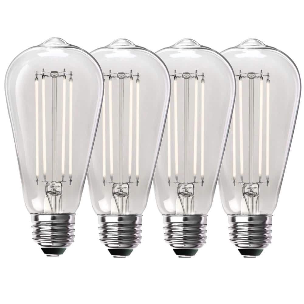 100-Watt Equivalent ST19 Dimmable Straight Filament Clear Glass E26 ...