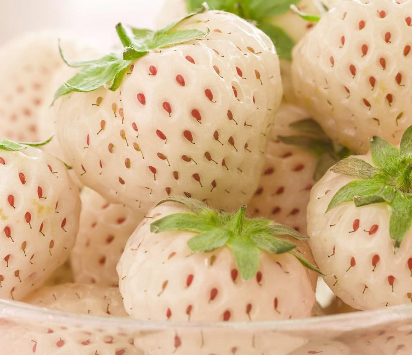 100 White Strawberry Seeds for Planting - Pineberry Fruit Seeds ...