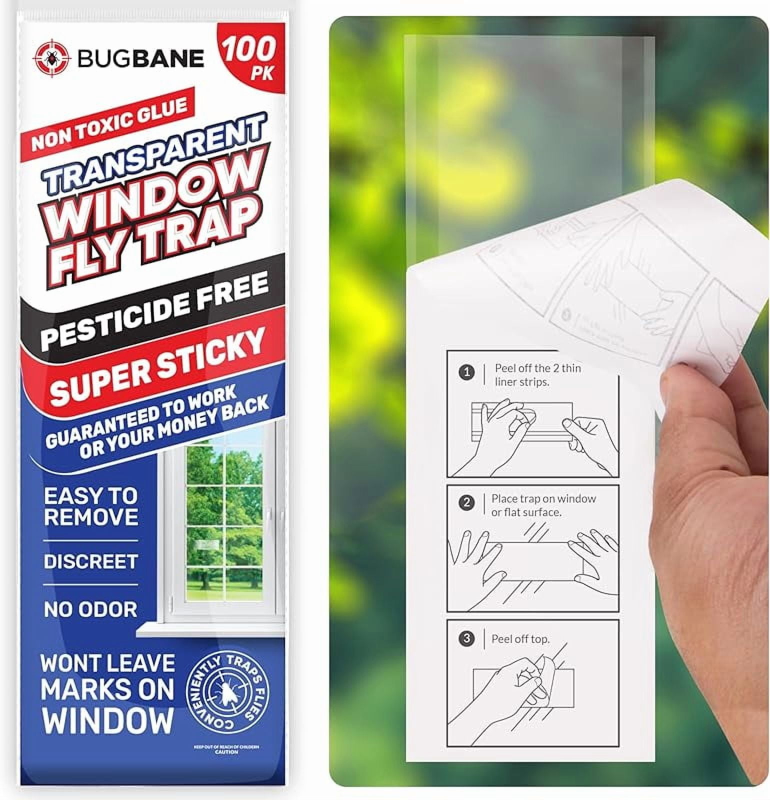 100 Window Fly Traps Sticky Non-Toxic Clear Fly Paper Indoor for Home ...