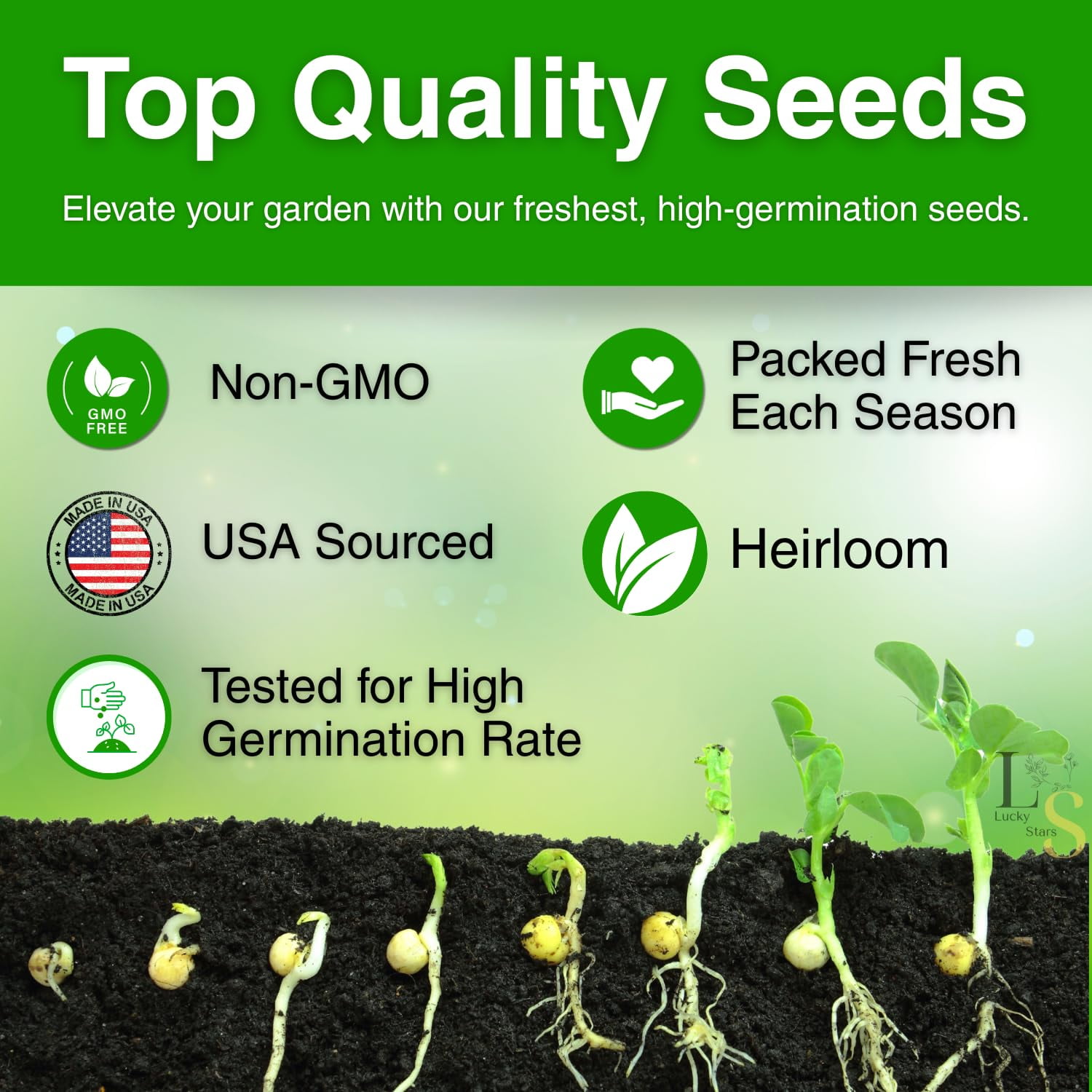 100 Winged Bean Seeds - Đậu Rồng H2FSD- Aka. Dragon Bean, Four Angled ...