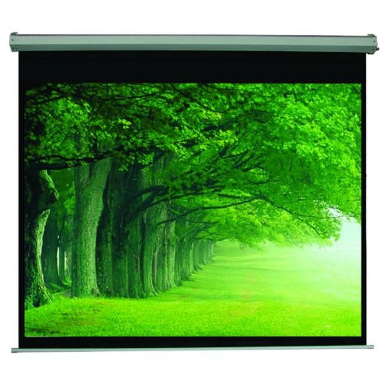 100 in. Noiseless Motorized Projector Screen - Black - Walmart.com