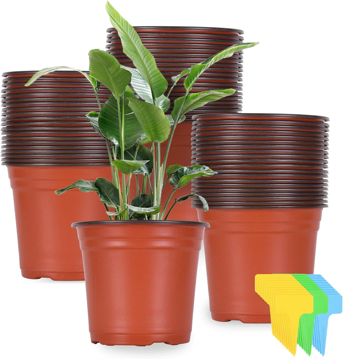 100 nursery pots 6-inch, with 30 plant labels plastic nursery pot ...