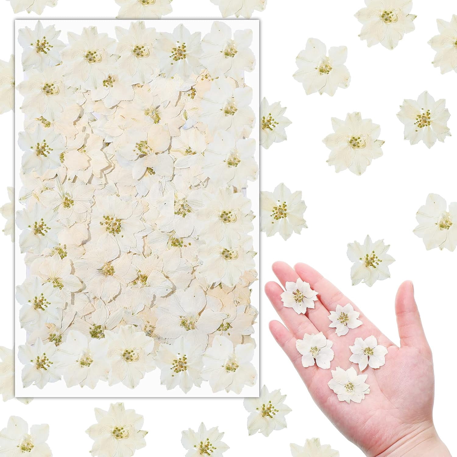 100 pcs Dried Pressed Flowers Small Dry Flowers Real Natural Resin ...