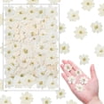 100 pcs Dried Pressed Flowers Small Dry Flowers Real Natural Resin ...