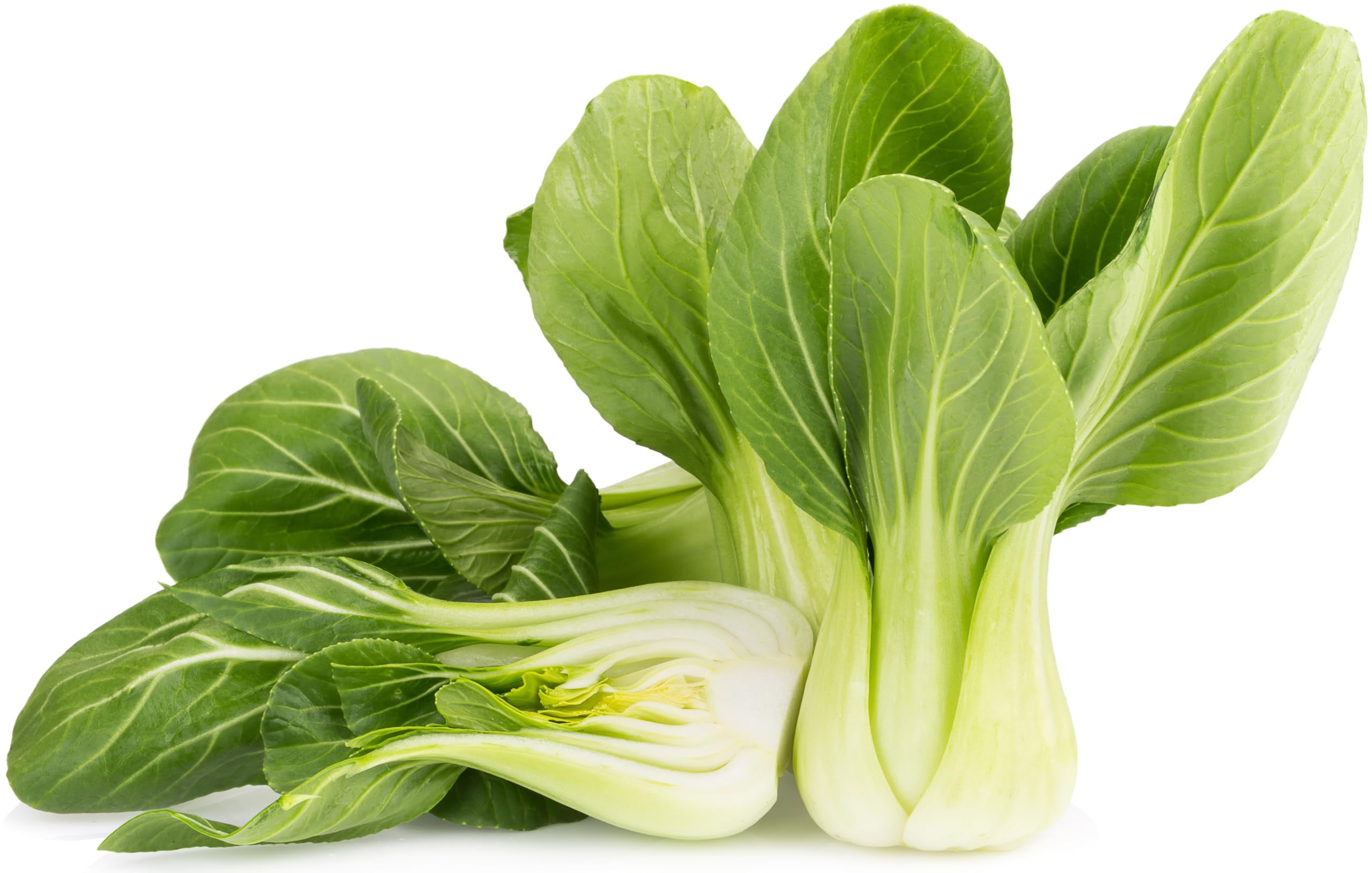 1000 Baby Bok Choy Seeds - MVR1 Shanghai Green Stem - Heirloom Non-GMO ...